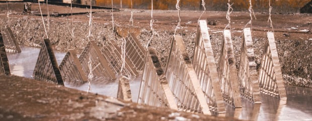 What is Dip Coating?